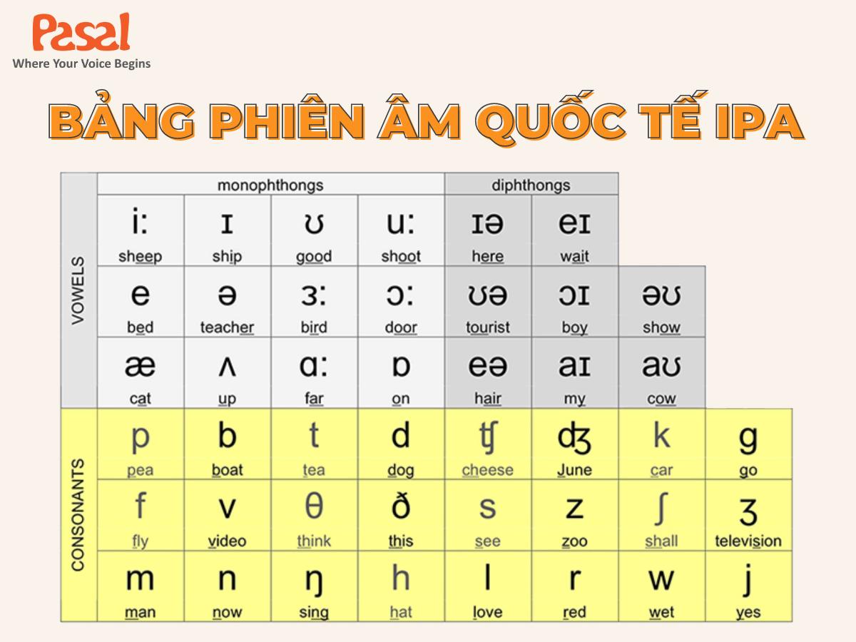 [Clip] Cách đọc bảng phiên âm IPA tiếng Anh chuẩn Anh - Mỹ - Sigma Academy